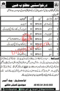 Municipal Committee MC Mashkey Jobs 2022 - Balochistan Jobs