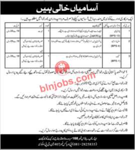 Government Organization Quetta Jobs 2024 - Balochistan Jobs