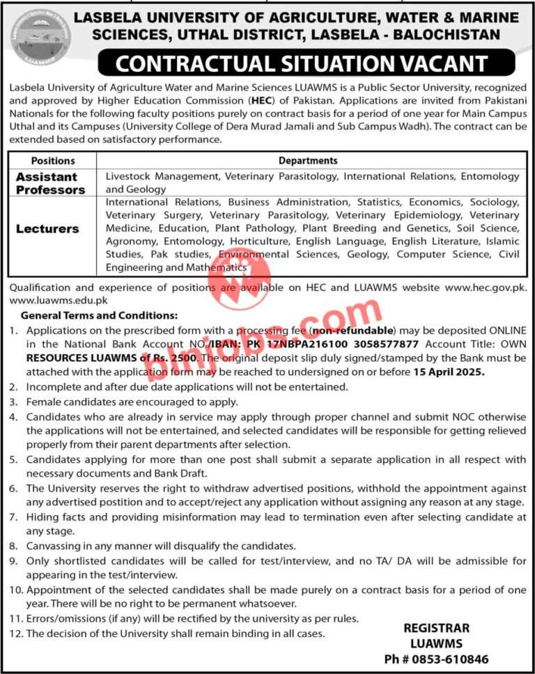 LUAWMS Lasbela University Assistant Professor And Lecturer Jobs 2025 ...