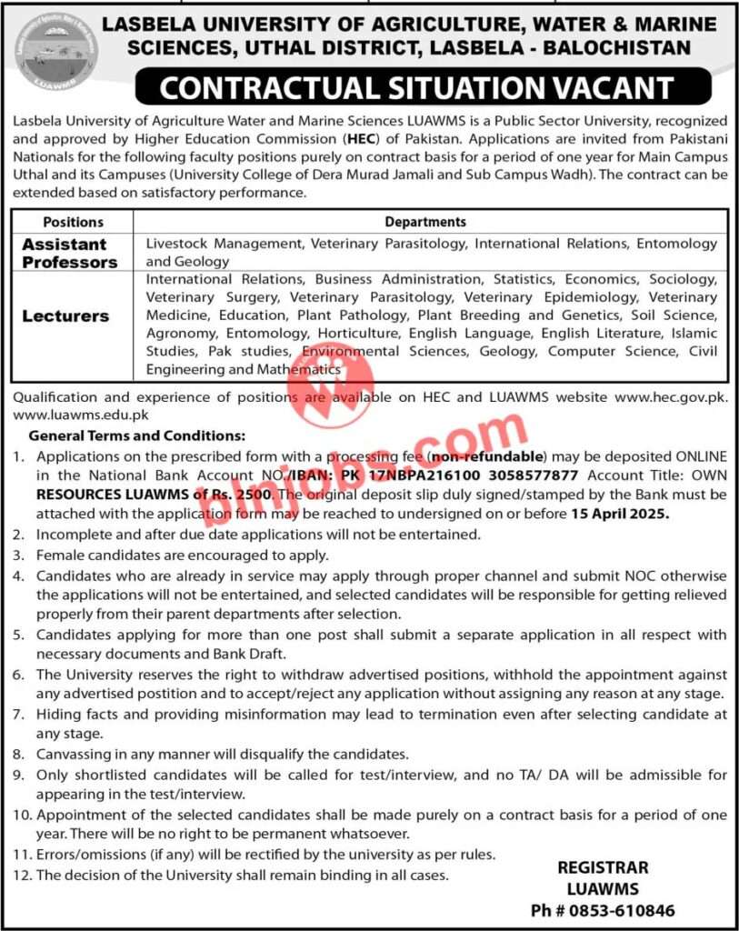 LUAWMS Lasbela University Assistant Professor And Lecturer Jobs 2025 ...